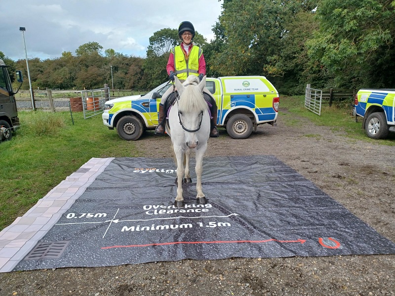 Operation raises awareness of importance of passing horses wide and ...